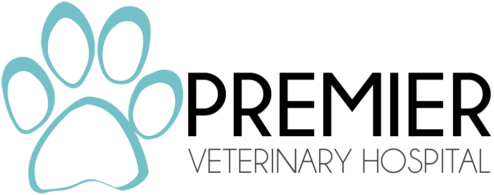 About Us - Tyler Veterinarian | Premier Veterinary Hospital